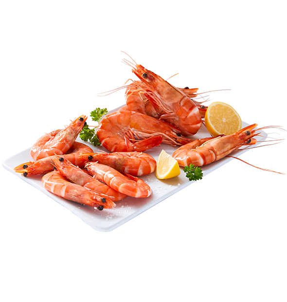 Les crevettes